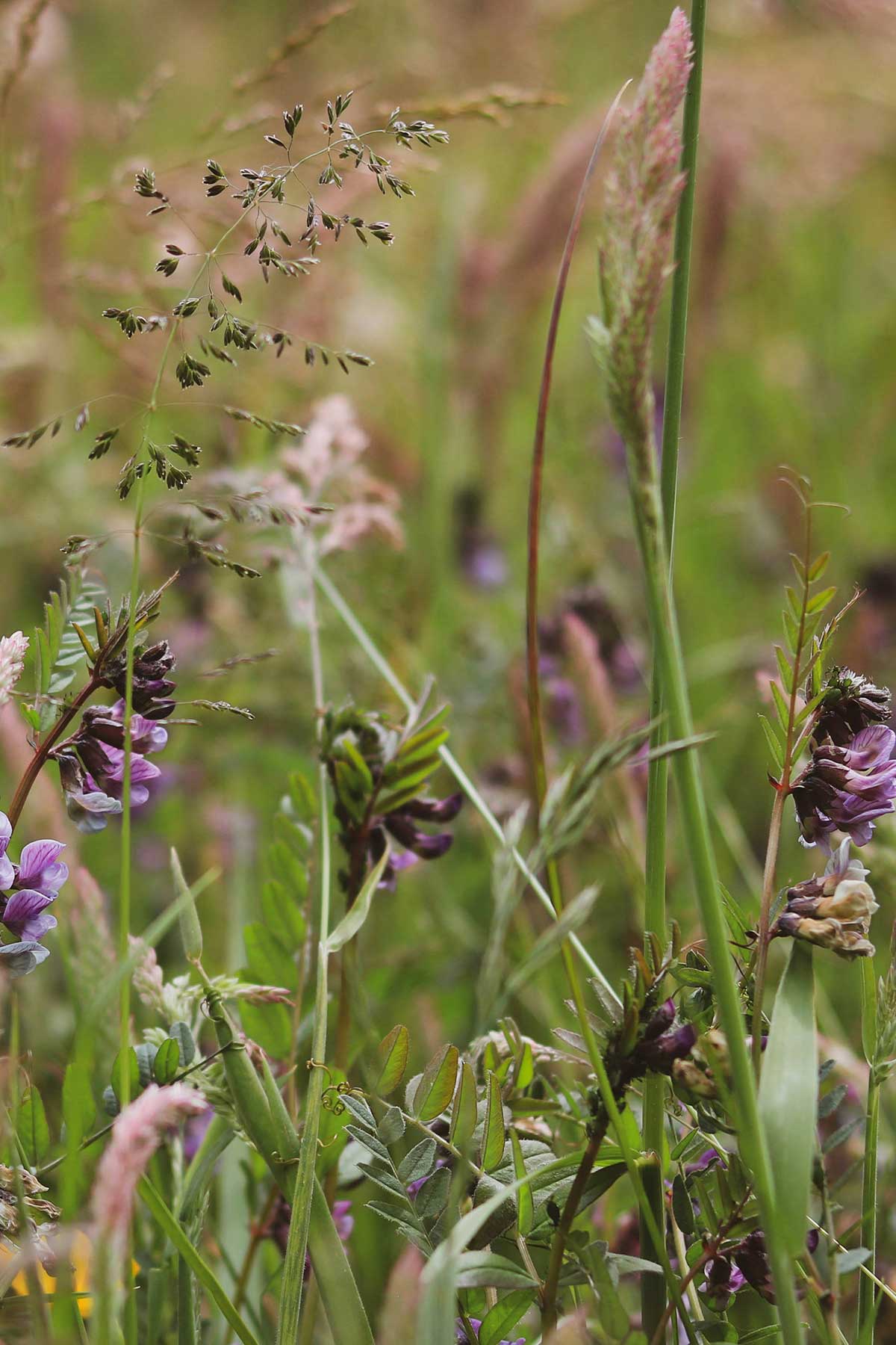 Roscommon & Kilteevan Parish – Sharing Faith, Spreading Hope